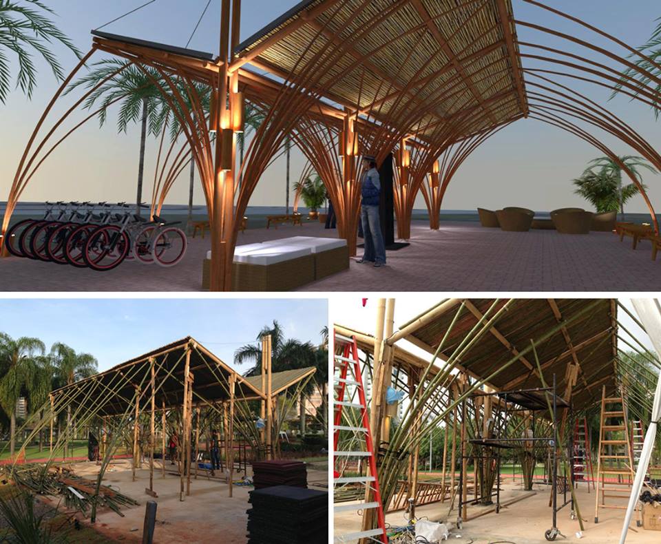 bamboo brazil – GUADUA Y BAMBU COLOMBIA