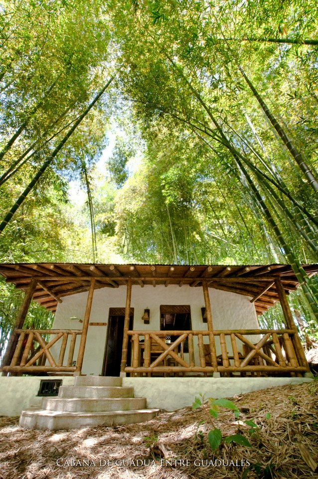 cabaa alcala – GUADUA Y BAMBU COLOMBIA