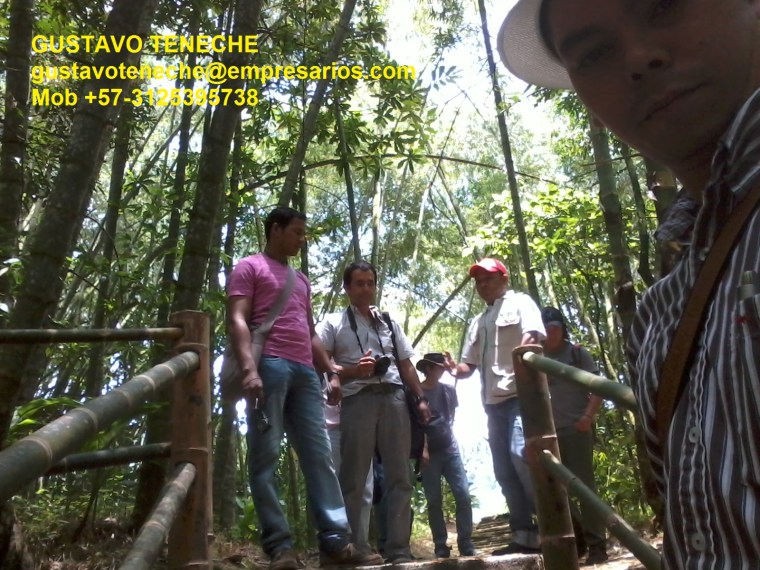 TALLER DE CONSTRUCCION CON GUADUA – AFICHE ANEXO – GUADUA Y BAMBU COLOMBIA