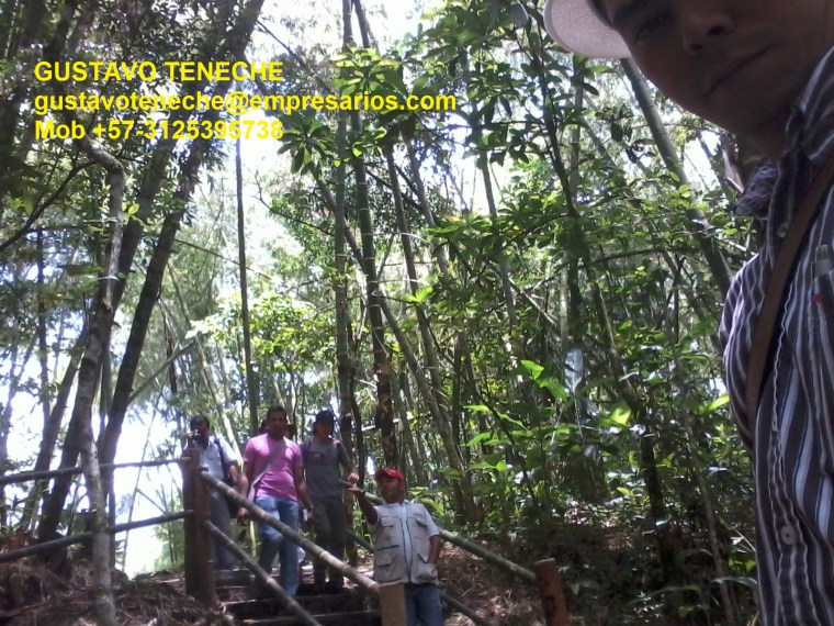 TALLER DE CONSTRUCCION CON GUADUA – AFICHE ANEXO – GUADUA Y BAMBU COLOMBIA