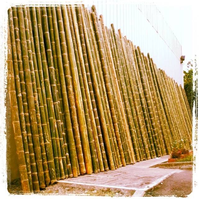 VENTA DE GUADUA EN DIFERENTES CORTES Y DIFERENTES TIPOS DE PRESERVADOS ...