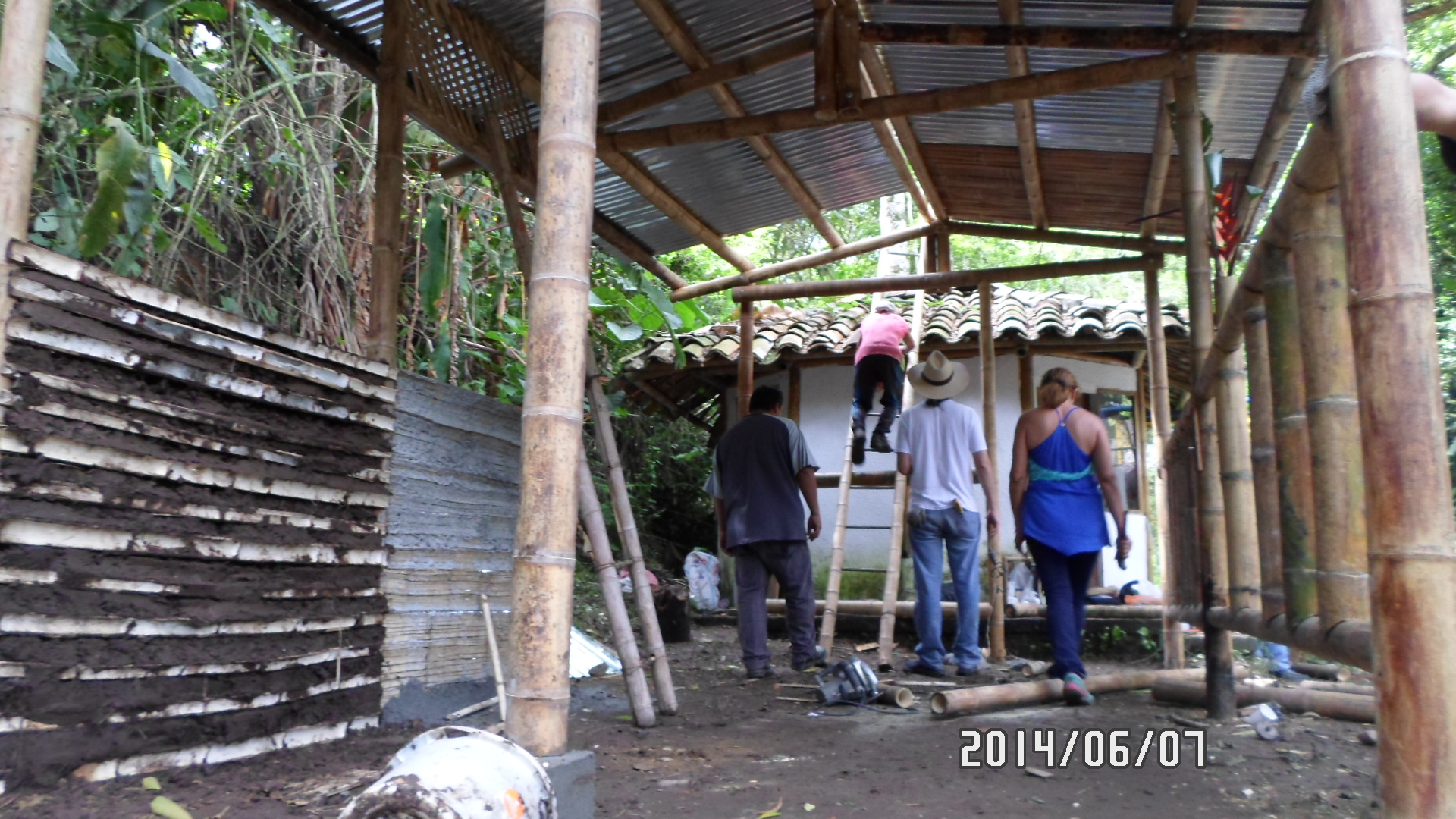 sam 0716 – GUADUA Y BAMBU COLOMBIA