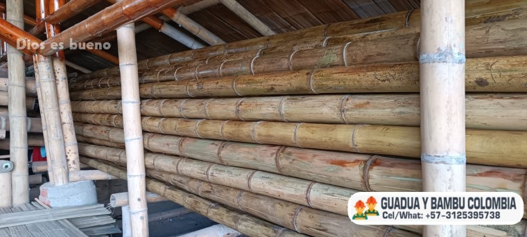 Imágenes de nuestros cursos – GUADUA Y BAMBU COLOMBIA