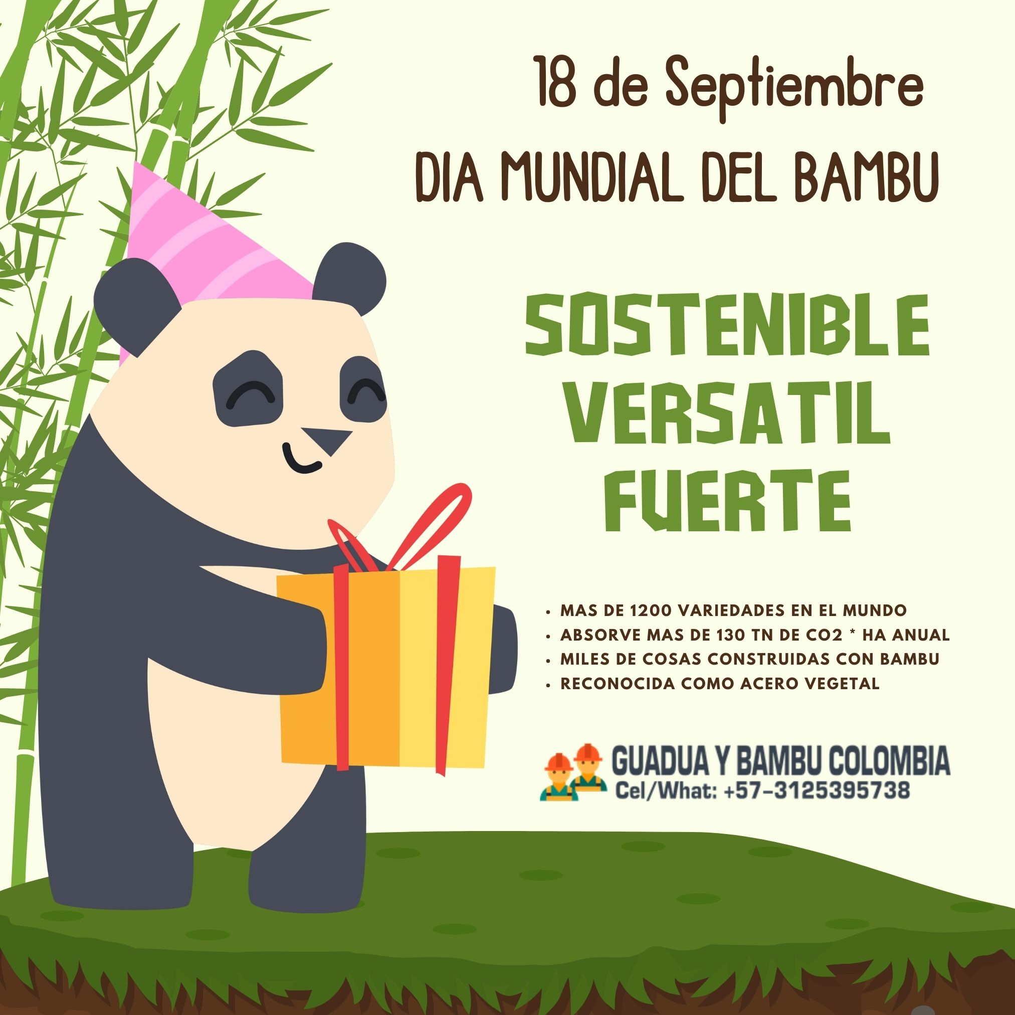 DIA MUNDIAL DEL BAMBU – GUADUA Y BAMBU COLOMBIA
