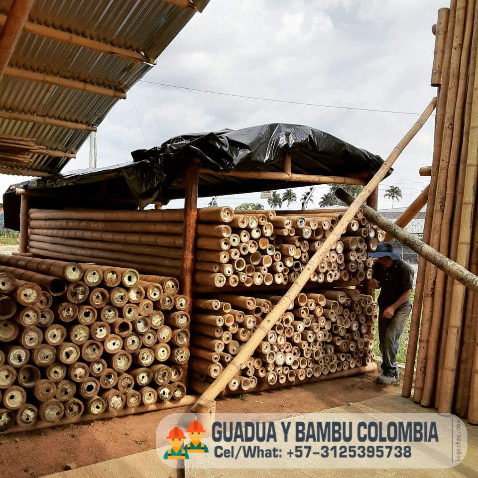 BAMBU GUADUA CERTIFICADA – VER ARCHIVOS PDF – GUADUA Y BAMBU COLOMBIA