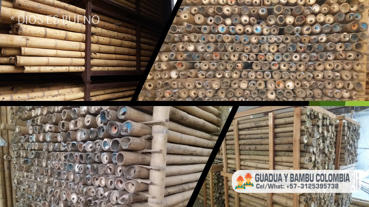 GBC – GUADUA Y BAMBU COLOMBIA
