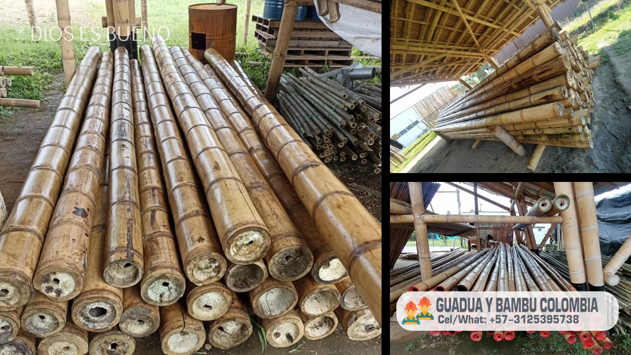 GBC – GUADUA Y BAMBU COLOMBIA