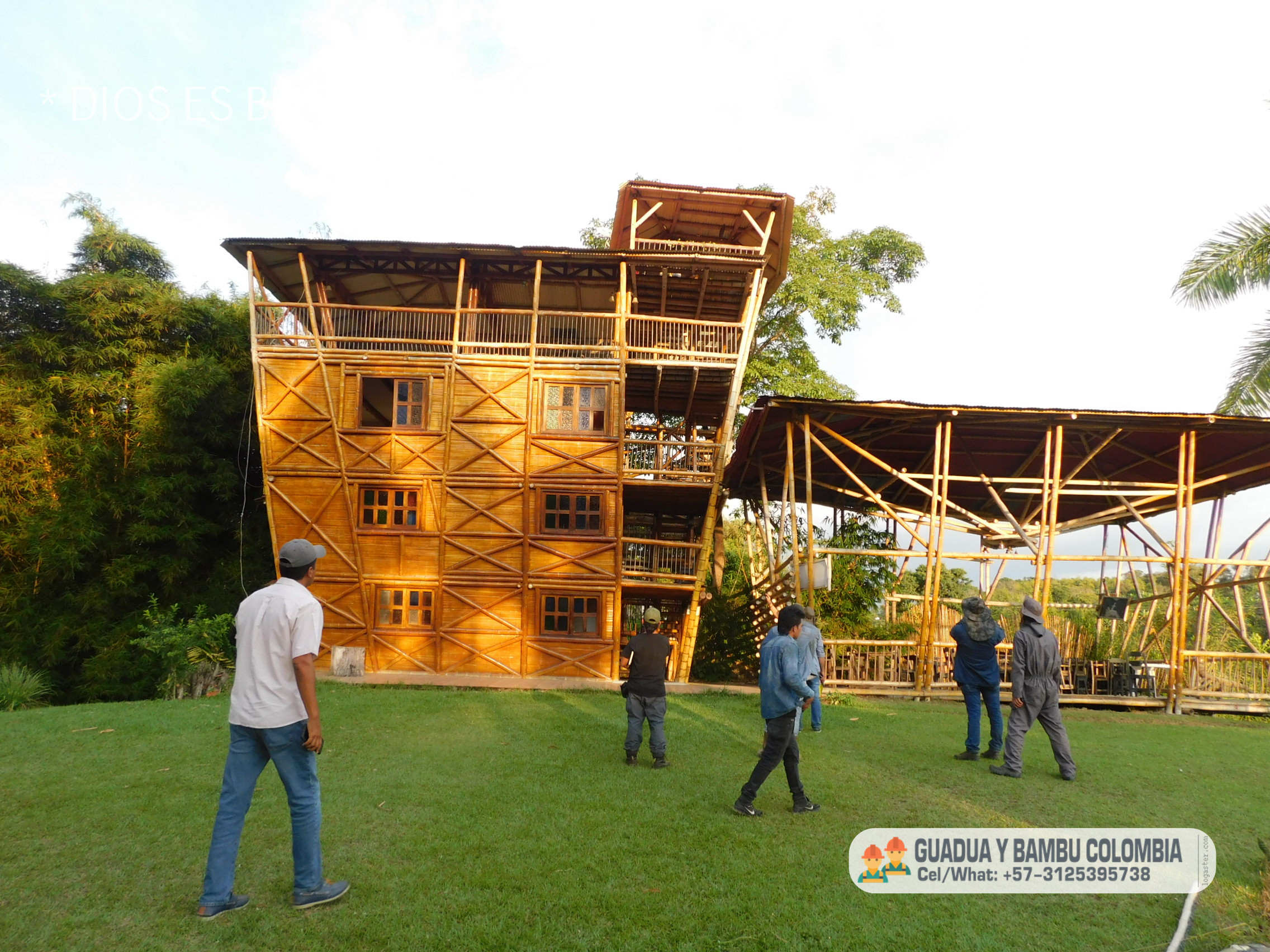dscn5028 1 – GUADUA Y BAMBU COLOMBIA