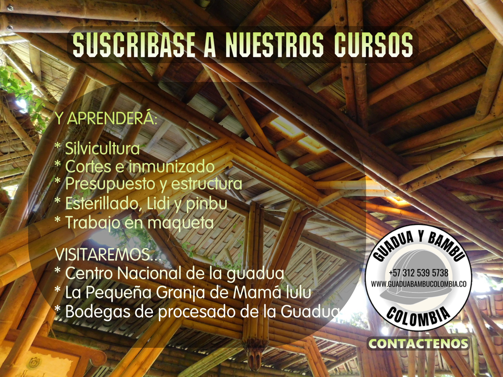 dscn8508 – GUADUA Y BAMBU COLOMBIA